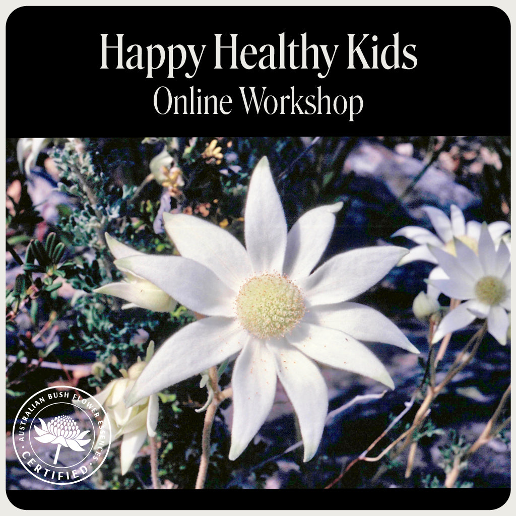 Happy Healthy Kids Webinar – Australian Bush Flower Essences