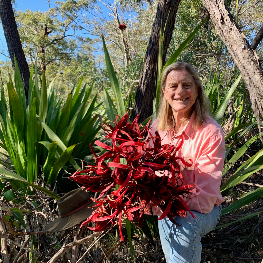 Ian’s August 2024 Video Newsletter – Australian Bush Flower Essences