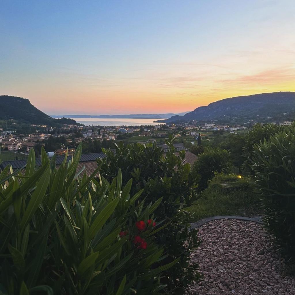 Ian's July 2024 Newsletter – Australian Bush Flower Essences