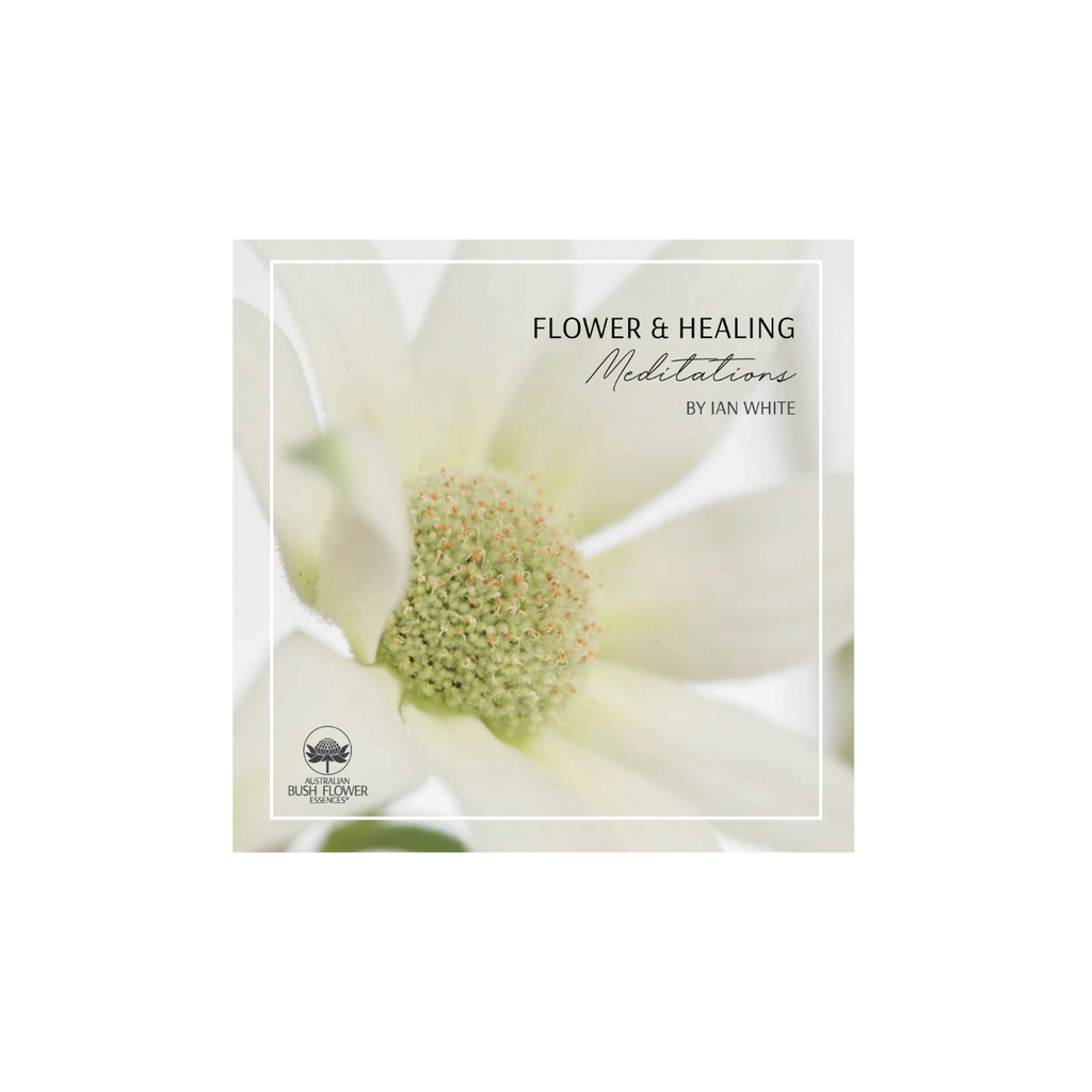 Flower & Healing Meditations CD – Australian Bush Flower Essences