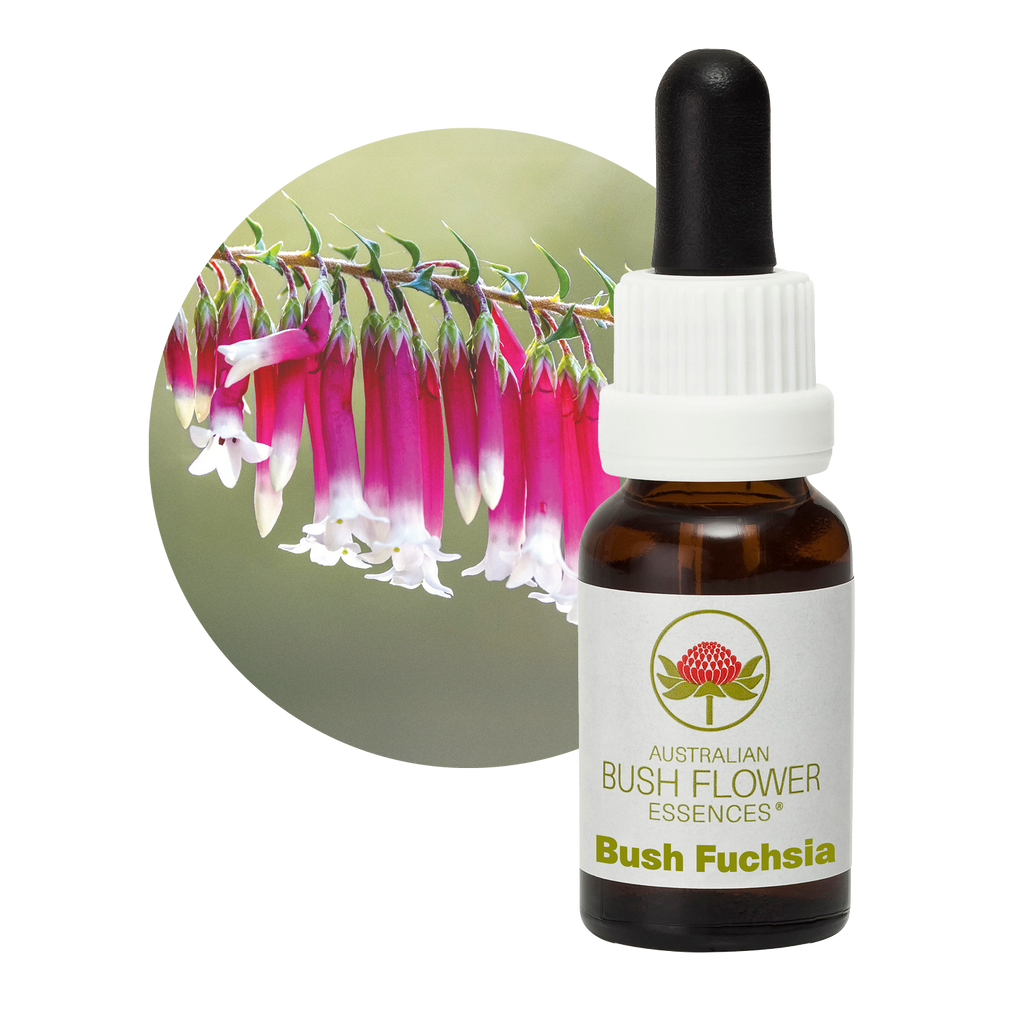 Bush Fuchsia - Australia – Australian Bush Flower Essences