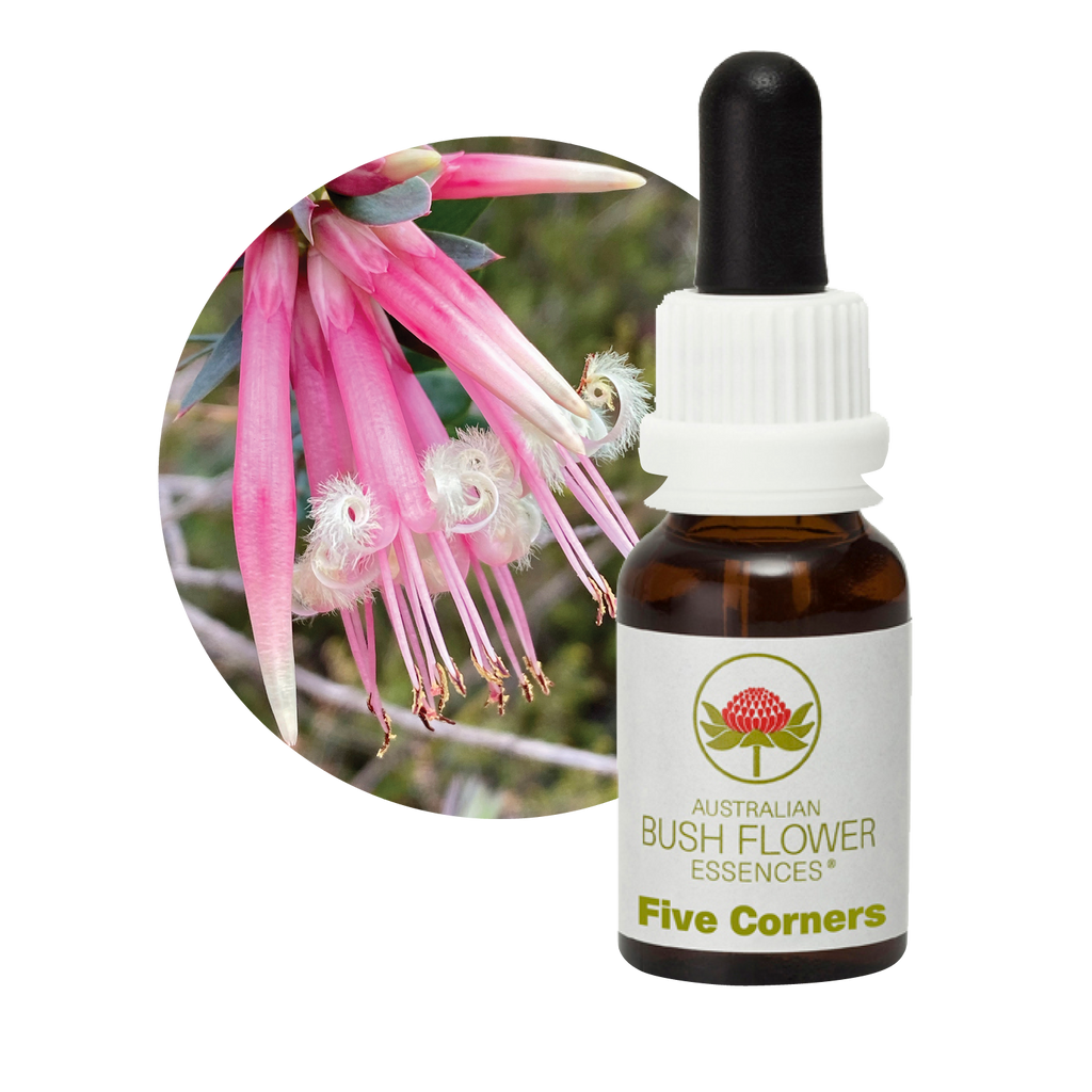 Five Corners - Australia – Australian Bush Flower Essences