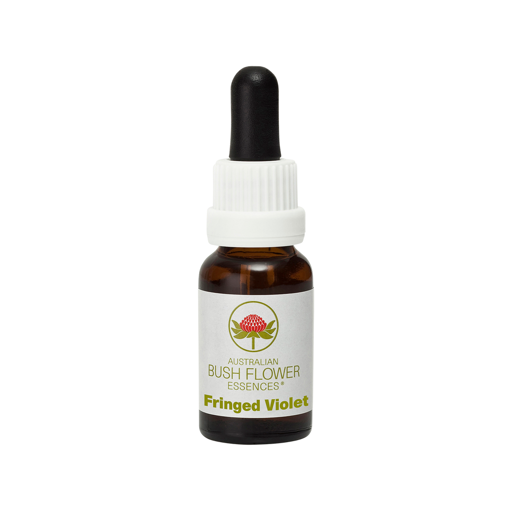 Fringed Violet - Australia – Australian Bush Flower Essences