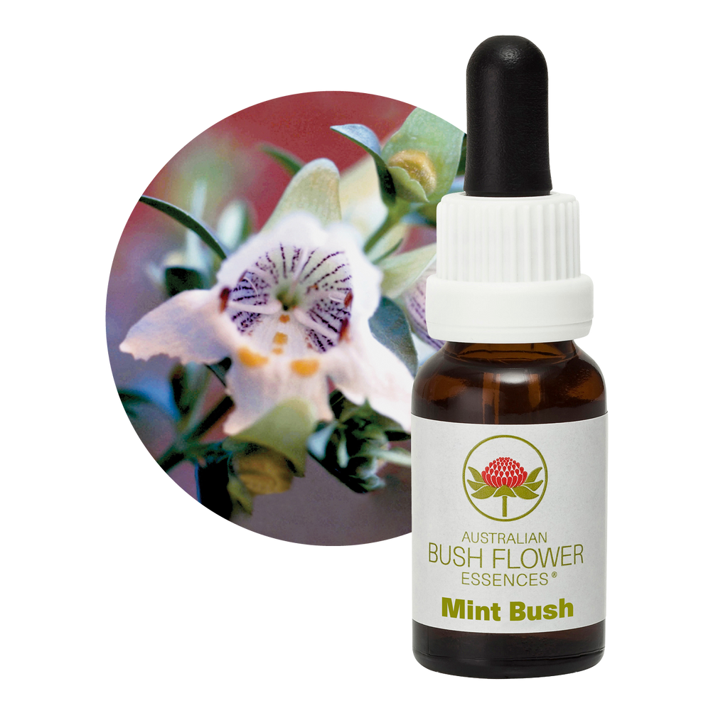 Mint Bush - Australia – Australian Bush Flower Essences