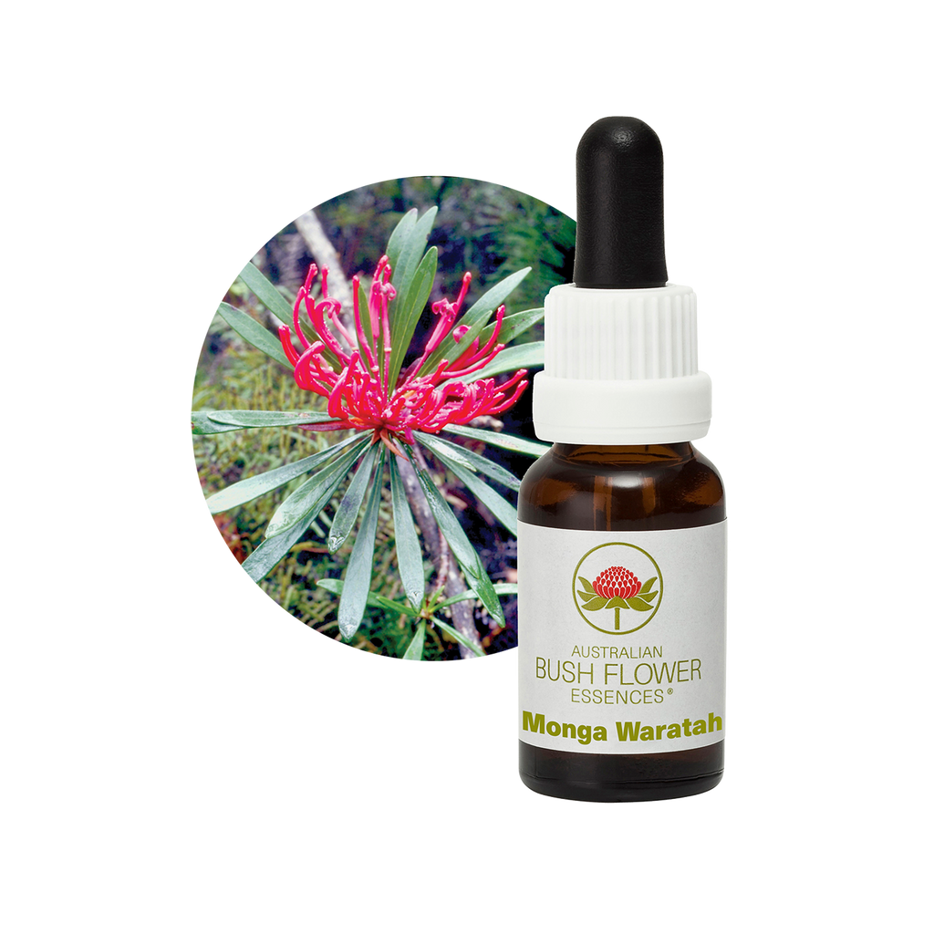 Monga Waratah - Australia – Australian Bush Flower Essences