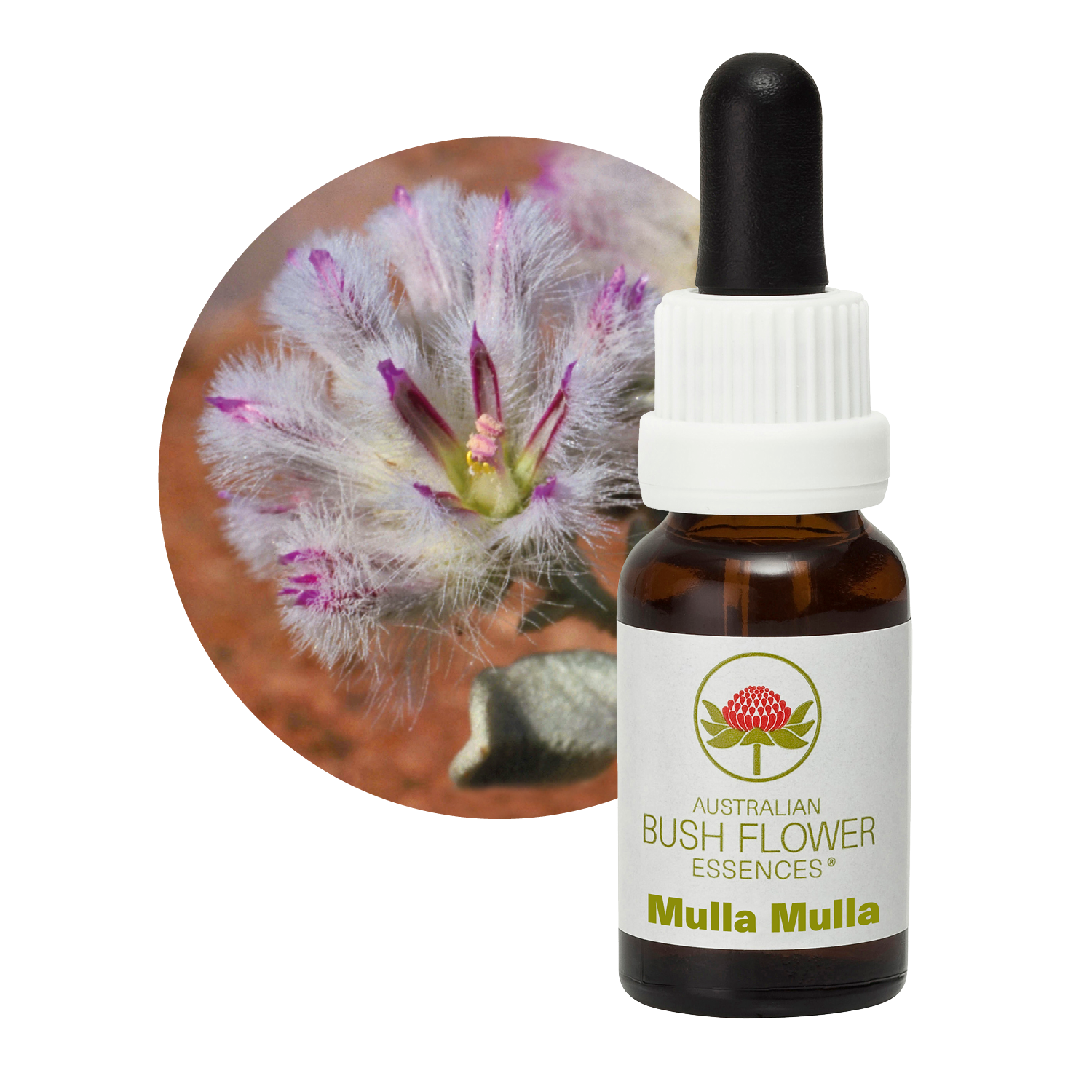 Mulla Mulla Essence – Australian Bush Flower Essences