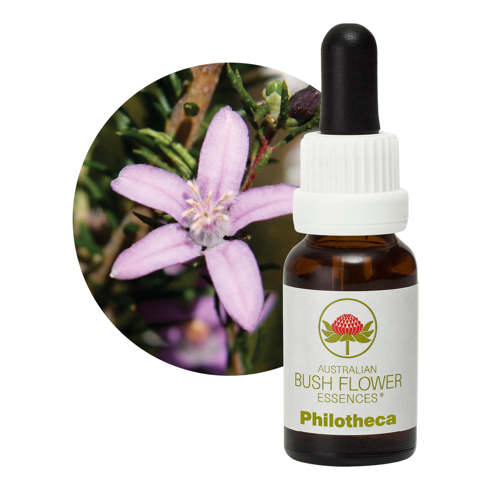 Philotheca - Australia – Australian Bush Flower Essences