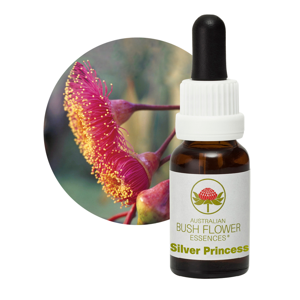 Silver Princess - Australia – Australian Bush Flower Essences