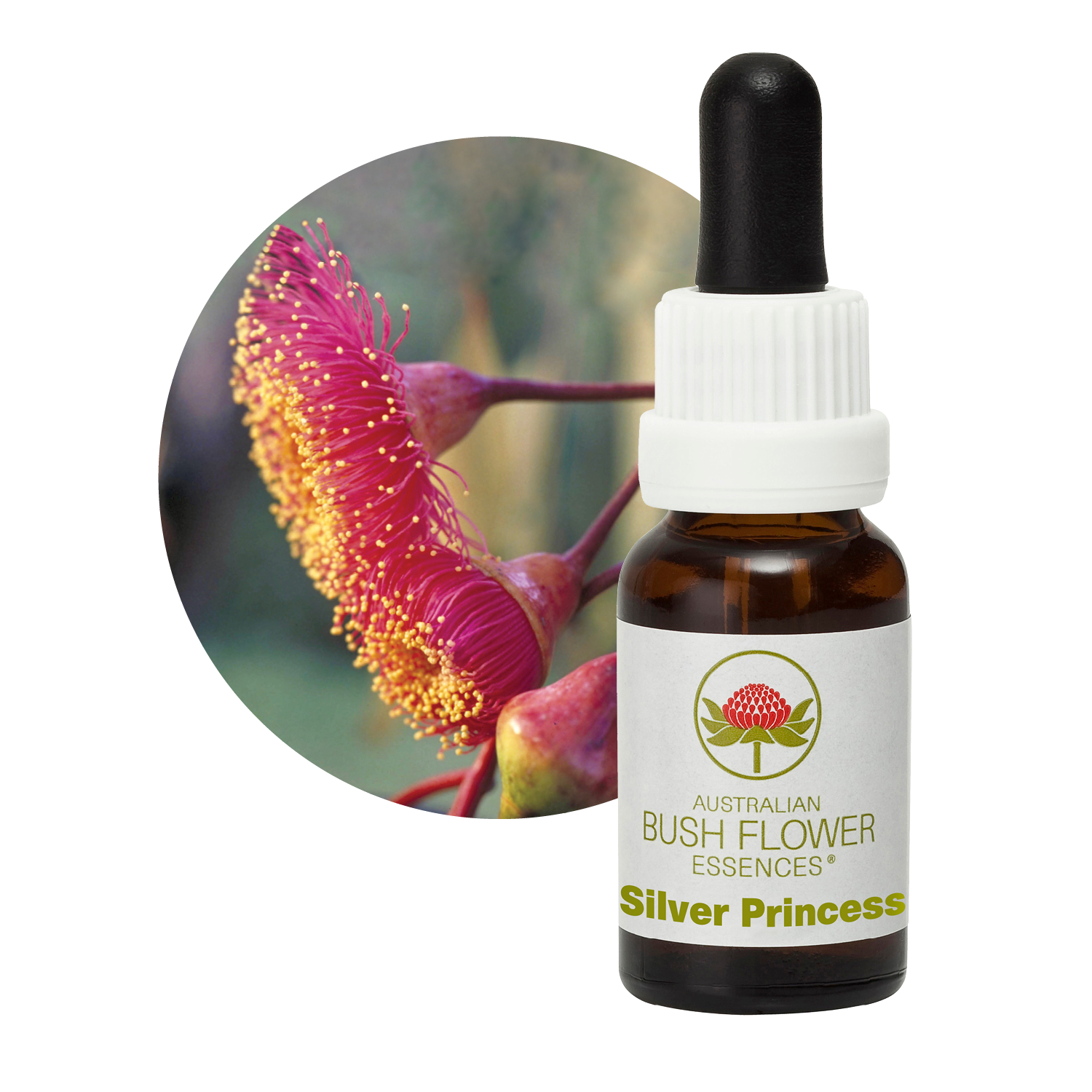 Silver Princess - Australia – Australian Bush Flower Essences