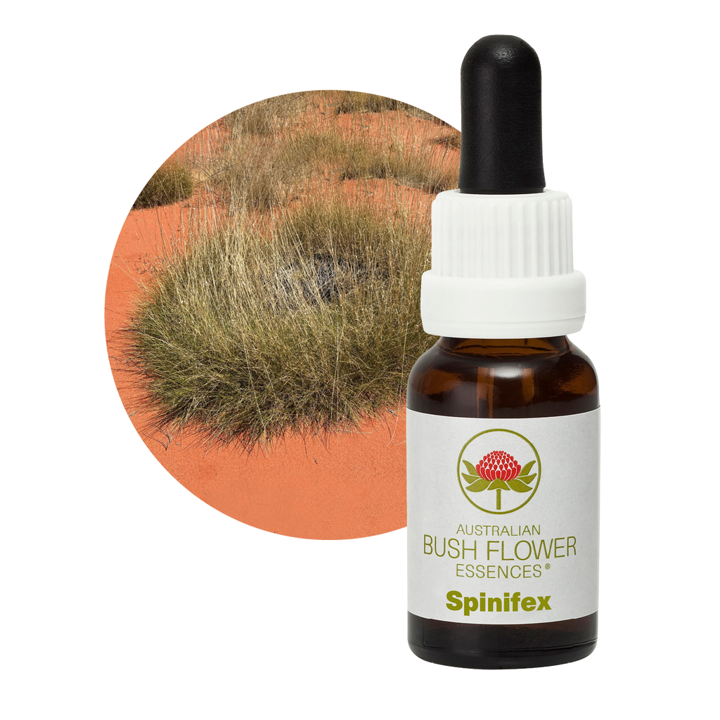 Spinifex - Australia – Australian Bush Flower Essences