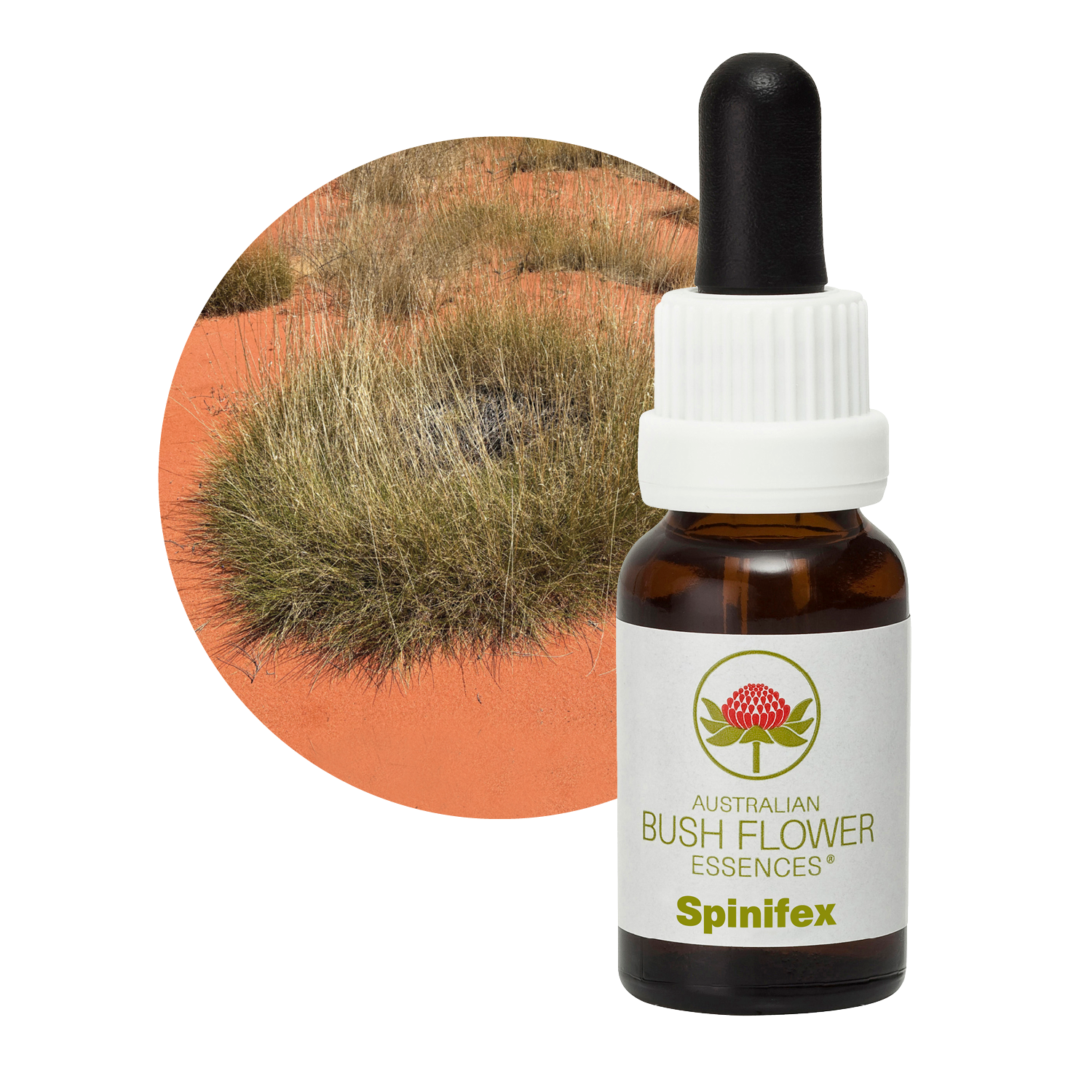 Spinifex - Australia – Australian Bush Flower Essences