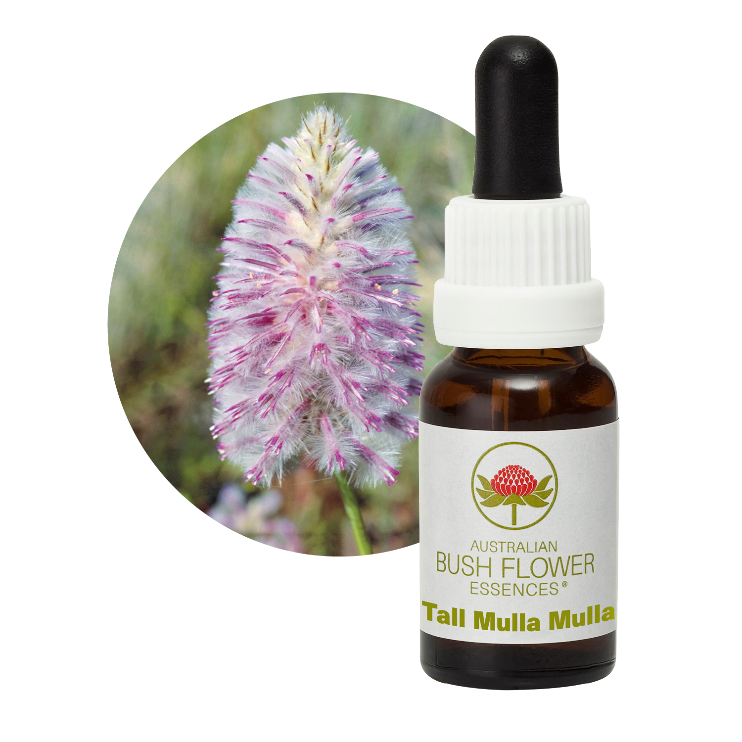 Tall Mulla Mulla - Australia – Australian Bush Flower Essences