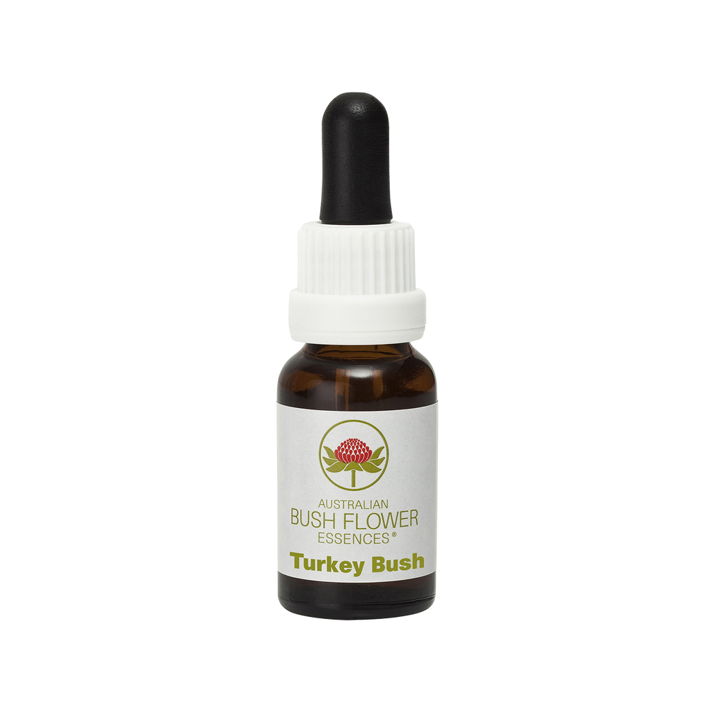 Turkey Bush - Australia – Australian Bush Flower Essences