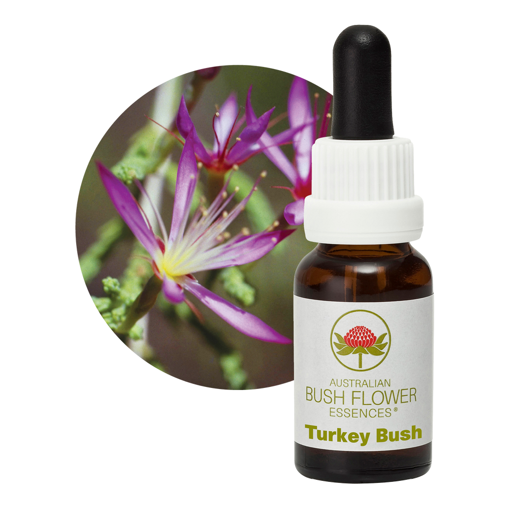 Turkey Bush - Australia – Australian Bush Flower Essences