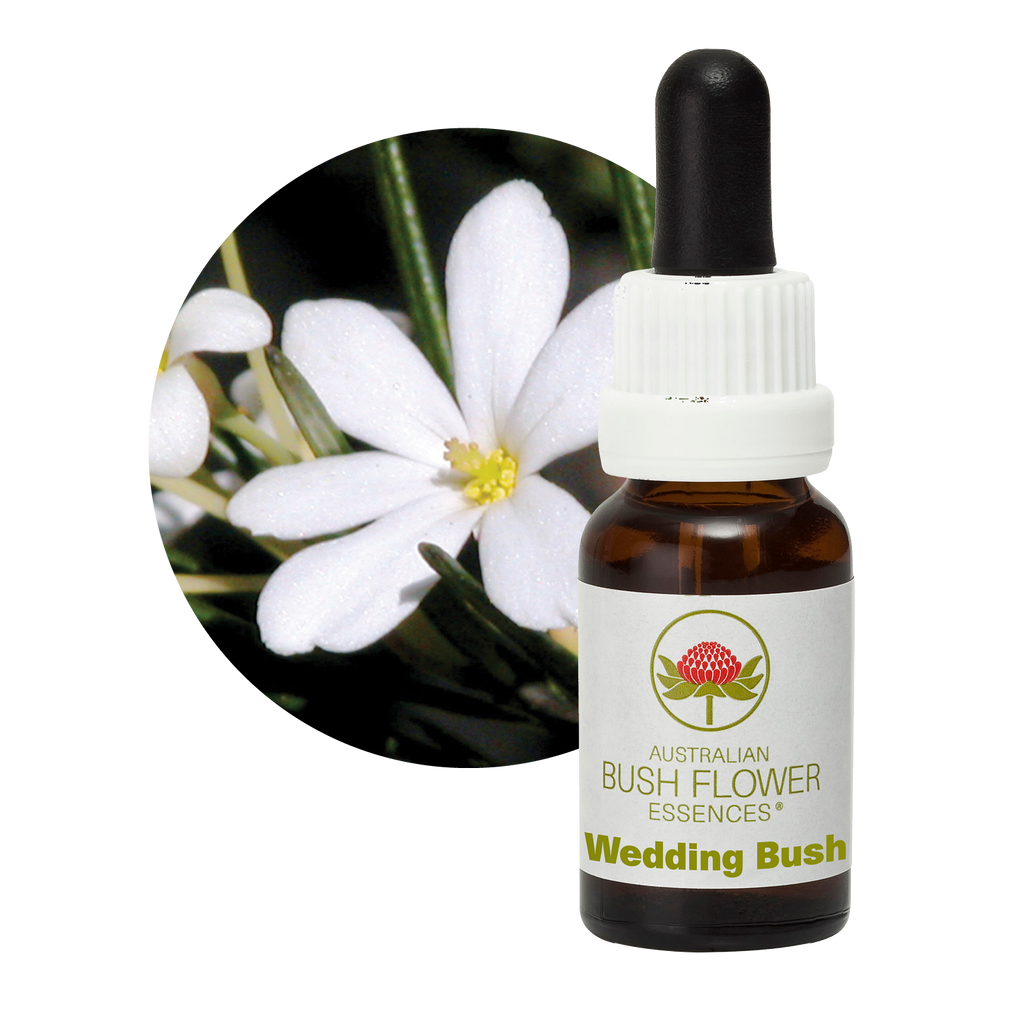 Wedding Bush - Australia – Australian Bush Flower Essences