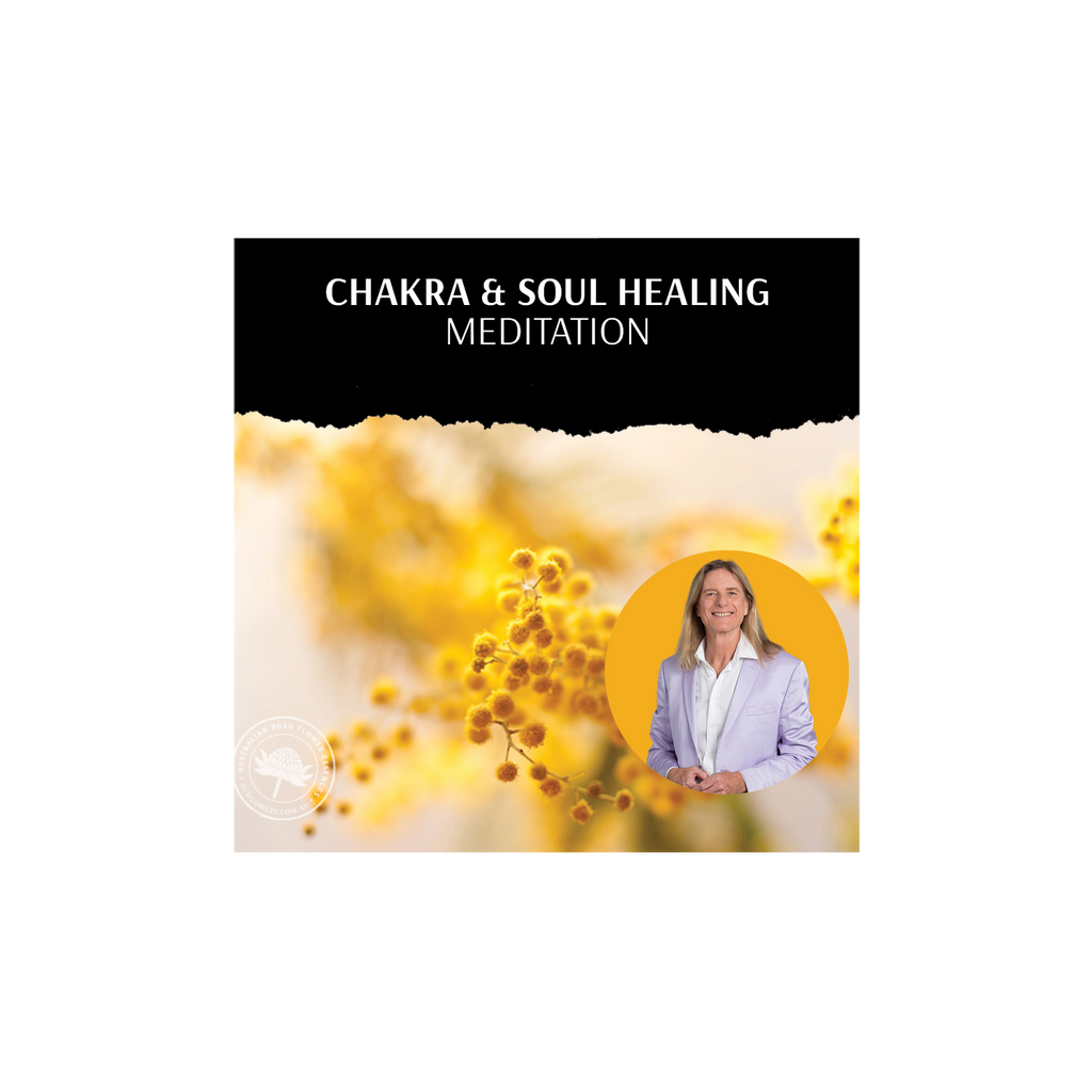 Chakra & Soul Healing Meditation – Australian Bush Flower Essences