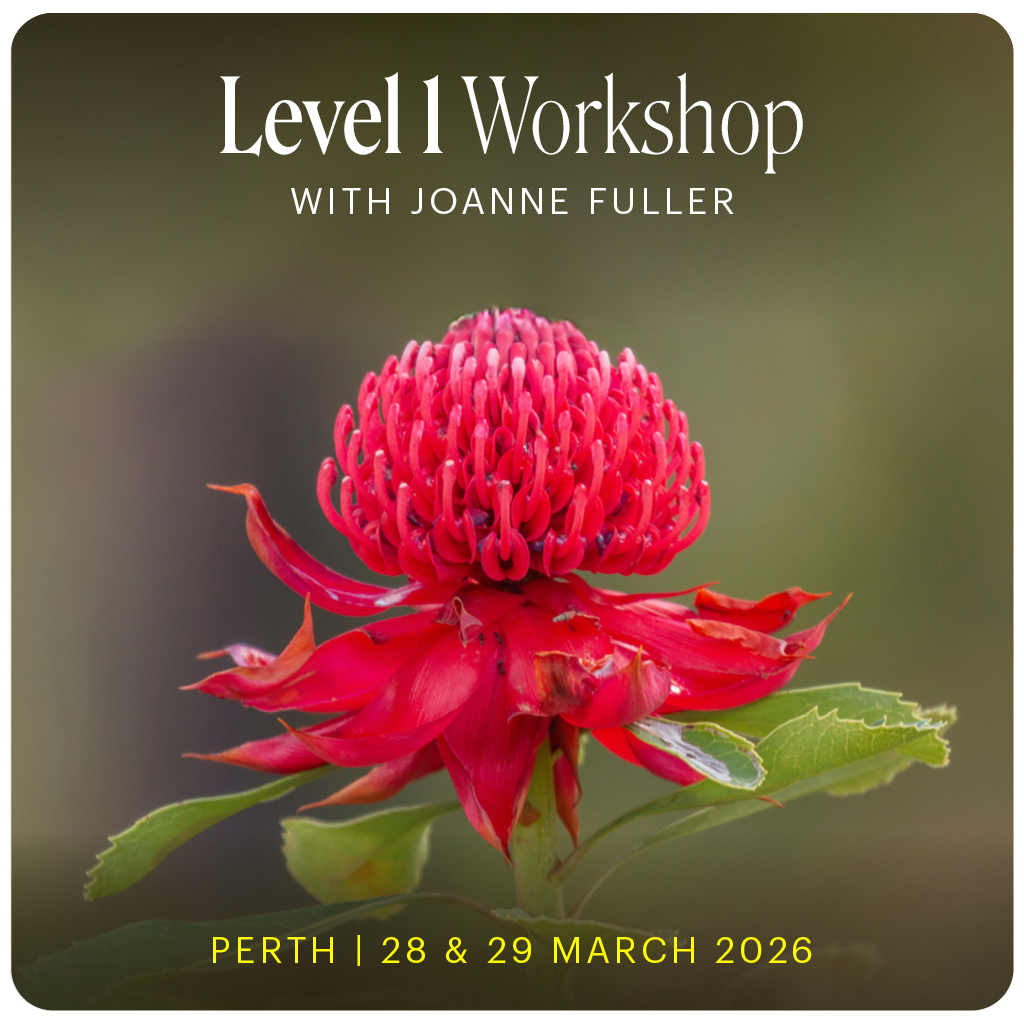 Level 1 Workshop Perth 2026 – Australian Bush Flower Essences