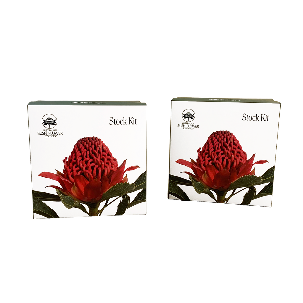 2 Replacement Stock Kit Boxes - Australia – Australian Bush Flower Essences