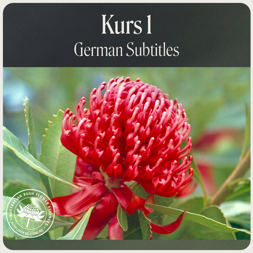 Level 1 webinar German Subtitles – Australian Bush Flower Essences