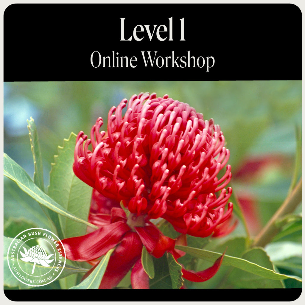Level 1 Webinar – Australian Bush Flower Essences
