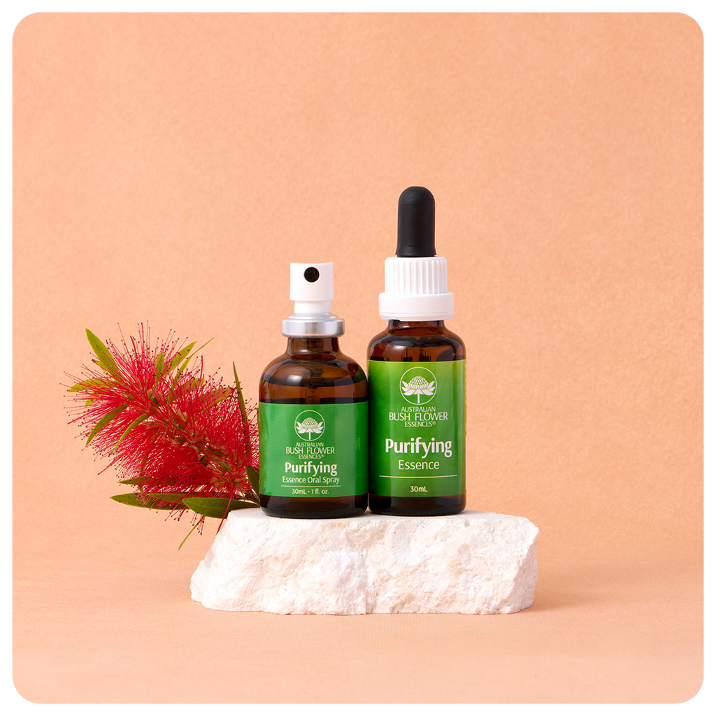 Purifying Essence Bundle – Australian Bush Flower Essences