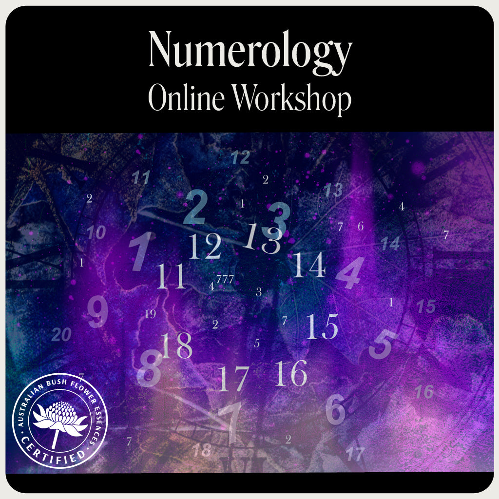 Numerology Online Workshop – Australian Bush Flower Essences