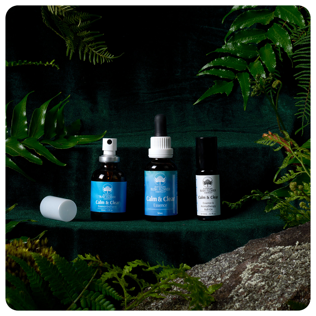 Calm & Clear Essence Festive Trio – Australian Bush Flower Essences