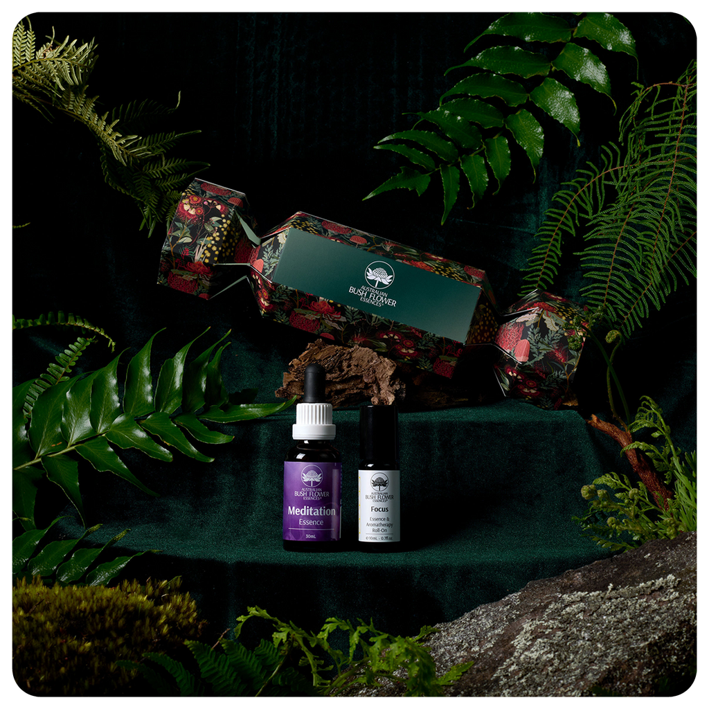 Spiritual Focus Gift Set – Australian Bush Flower Essences