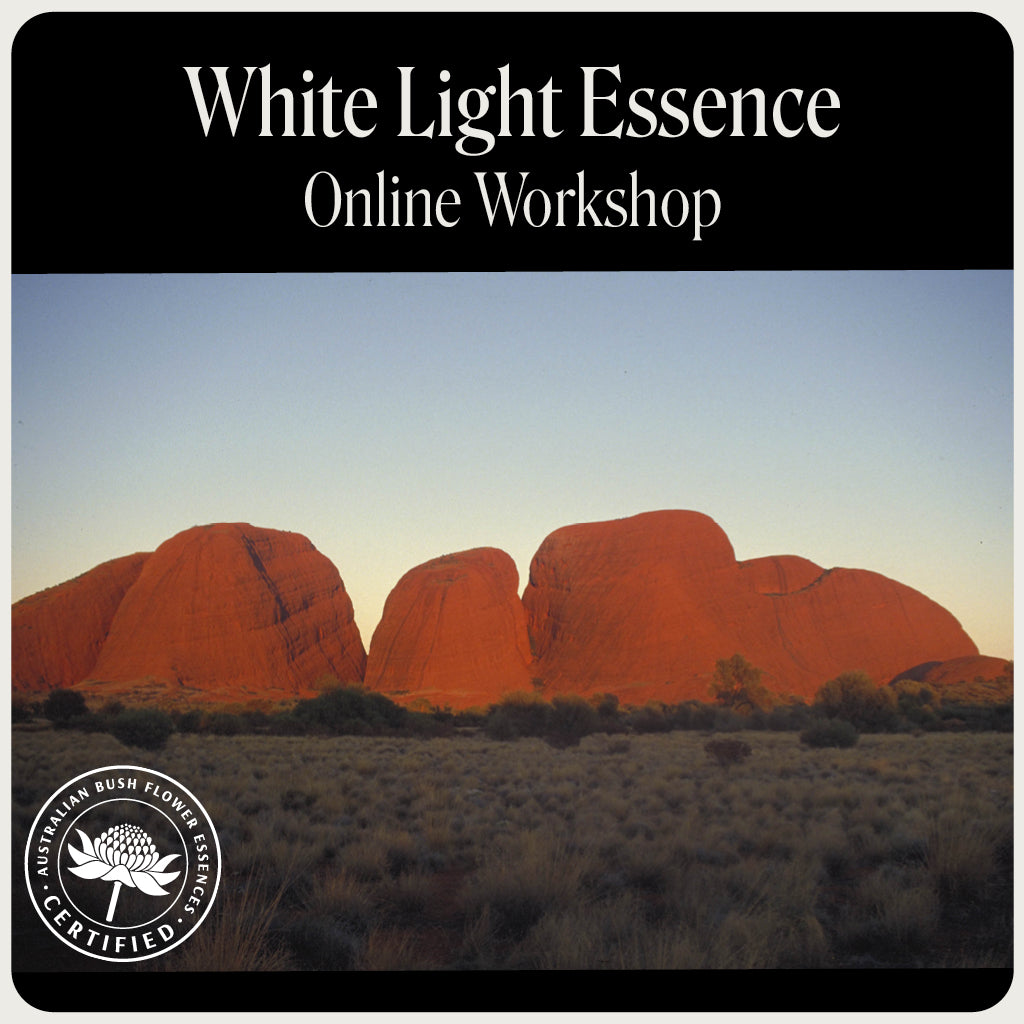 White Light Essences Webinar – Australian Bush Flower Essences