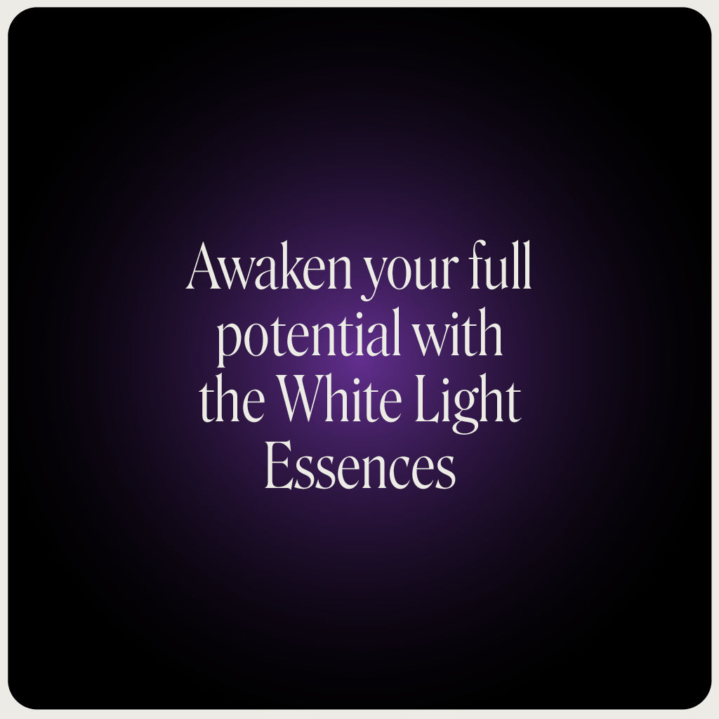 White Light Essences Webinar – Australian Bush Flower Essences